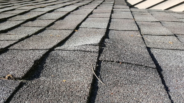 When to Replace Your Roof: A 7-Step Guide