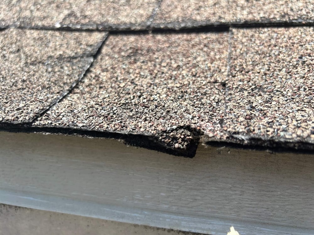 Hail Damage Roof Claims in Georgia: A Guide for Property Owners