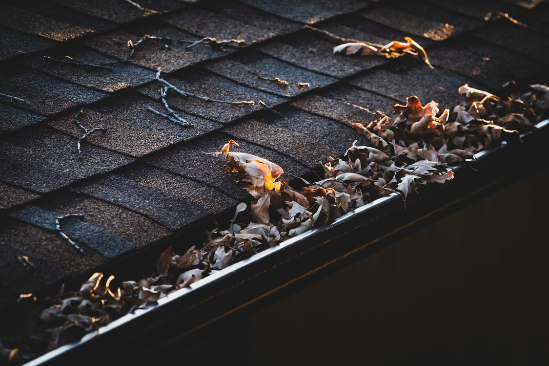 Fall Roof Maintenance Tips For Southeastern Homeowners