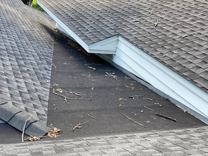 Understanding Roof Crickets: Your Roof's Secret Weapon