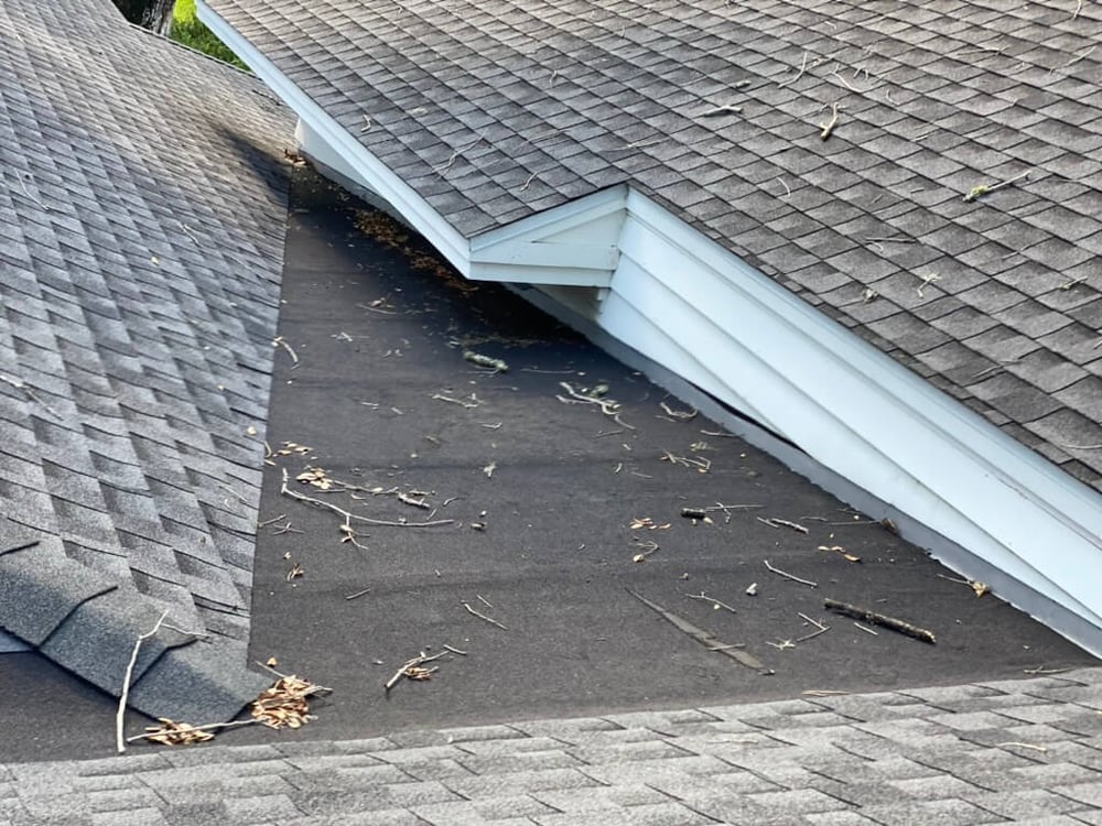 Unveiling Roof Crickets: Essential Protection for Your Home and Business