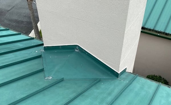 Unveiling Roof Crickets: Essential Protection for Your Home and Business